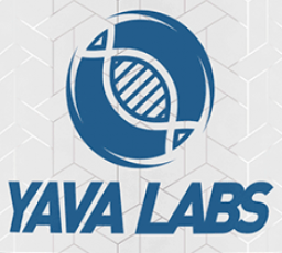 Yava Labs – Gymkit